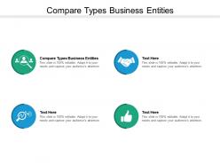 Compare Types Business Entities Ppt Powerpoint Presentation Outline ...
