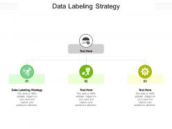 Data Labeling Strategy Ppt Powerpoint Presentation Infographics Background Image Cpb ...