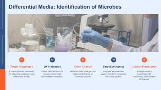 Differential Media Identification Of Microbes PPT Template ACP PPT Sample