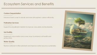 Ecosystem Services And Benefits Ecology Cycles PPT Designs ACP PPT Sample