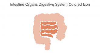 Intestine Organs Digestive System Colored Icon In Powerpoint Pptx Png ...