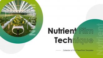 Nutrient Film Technique PowerPoint PPT Template Bundles PPT Slide