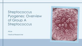 Streptococcus Pyogenes Overview Of Group A Streptococcus PPT PowerPoint AT