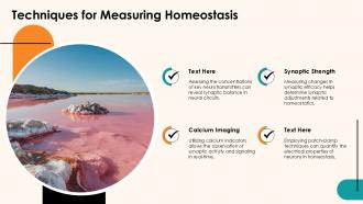 Techniques For Measuring Homeostasis PPT Template ACP PPT Sample