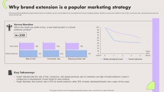 Why Brand Extension Is A Popular Marketing Strategy PPT Template