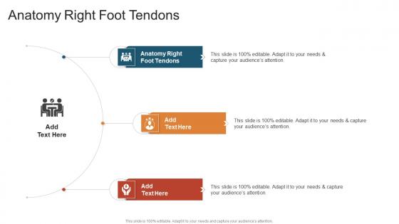 Anatomy Right Foot Tendons In Powerpoint And Google Slides Cpb PPT Template