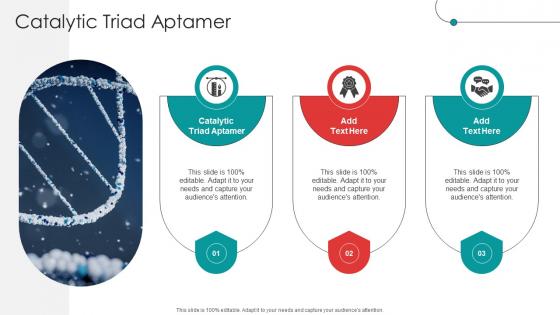Catalytic Triad PowerPoint Presentation and Slides PPT Presentation | SlideTeam