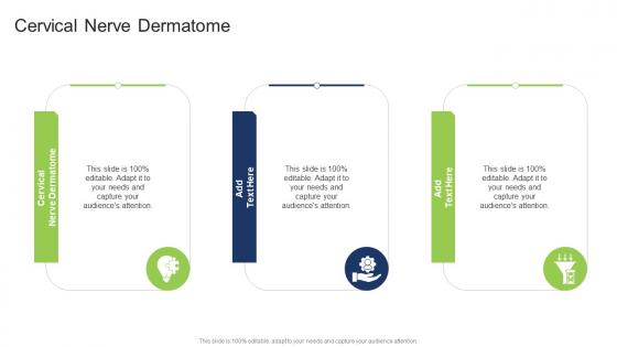 Cervical Nerve Dermatome PowerPoint Presentation and Slides PPT Sample ...