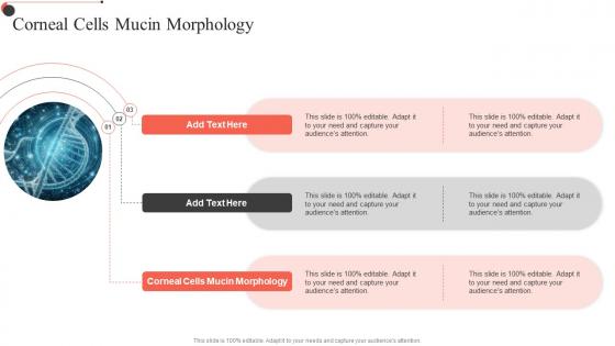 Cell Morphology PowerPoint Presentation and Slides PPT PowerPoint | SlideTeam