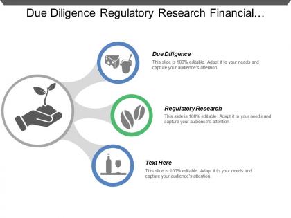 Regulatory Strategy - SlideTeam