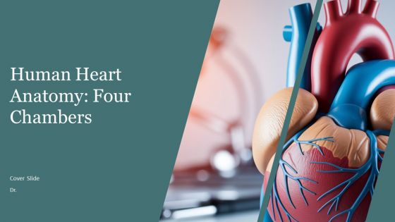 Human Heart Anatomy Four Chambers PPT Presentation AT