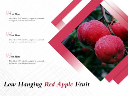 Red Fruit Icon PowerPoint Presentation and Slides | SlideTeam