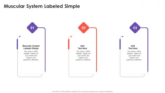 Muscular System PowerPoint Presentation and Slides PPT Template | SlideTeam Muscular System PowerPoint Presentation and Slides PPT Template | SlideTeam