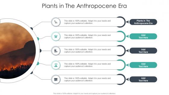 Anthropocene Era Powerpoint Presentation And Slides Ppt Sample Slideteam