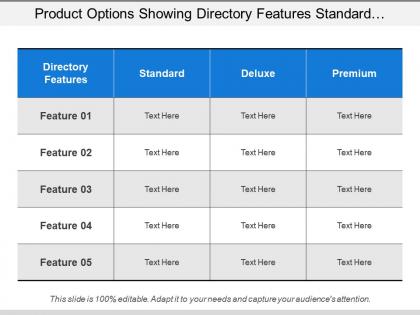 3 Options - Slide Team