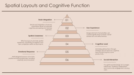 Spatial Layouts And Cognitive Function Neuroarchitecture Ppt Template