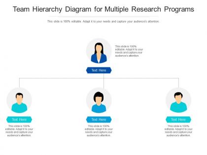 Team Hierarchy Diagram Infographic PowerPoint Presentation and Slides ...