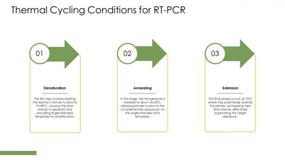 Pcr Polymerase Chain Reaction Powerpoint Presentation And Slides Ppt