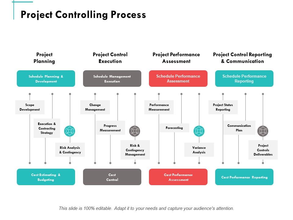 Project Controlling Process Ppt Powerpoint Presentation Summary Shapes Templates Powerpoint