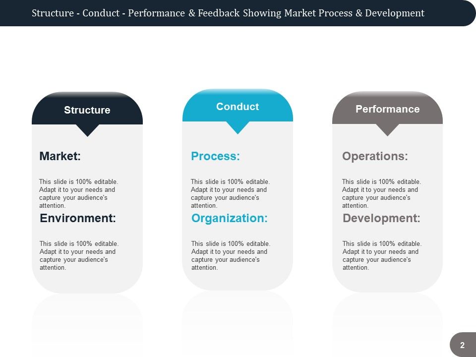 Structure Conduct Performance Ppt Infographic Template Slide Portrait